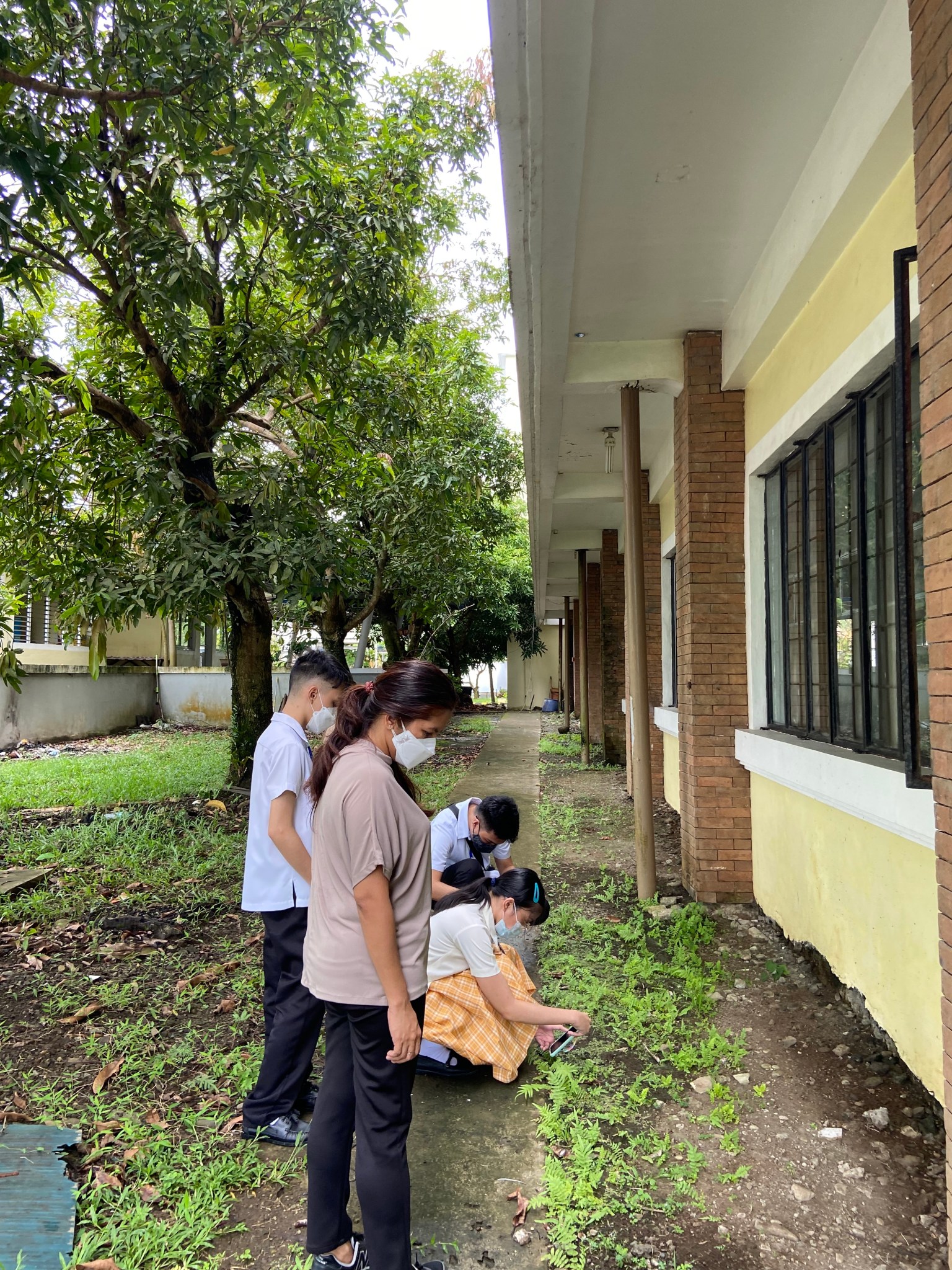 Pisay opens doors to students for pilot in-person classes